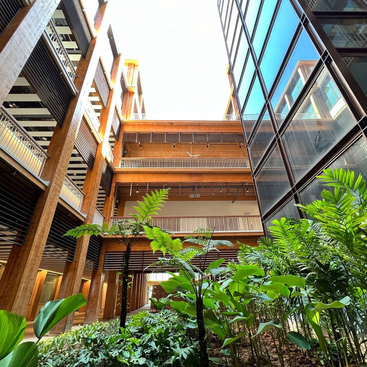 The Growing Mold Issue in Singapore's NTU Timber Building – DryBox SG
